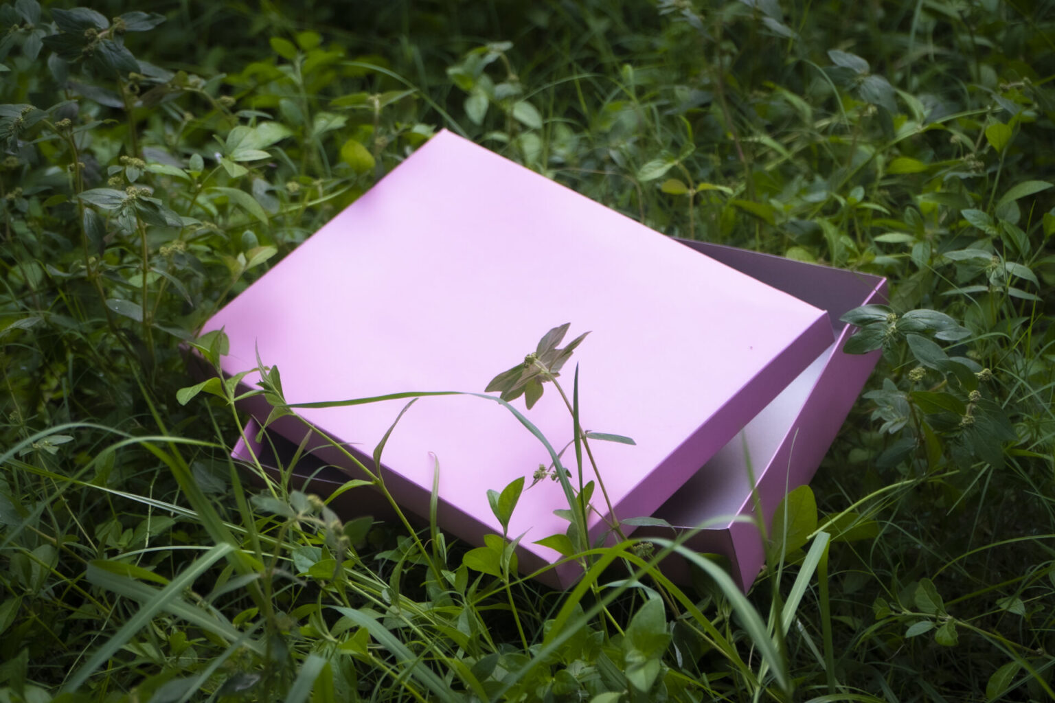 Buy Saree Box at Lowest Price in Bangladesh | Wrapup BD