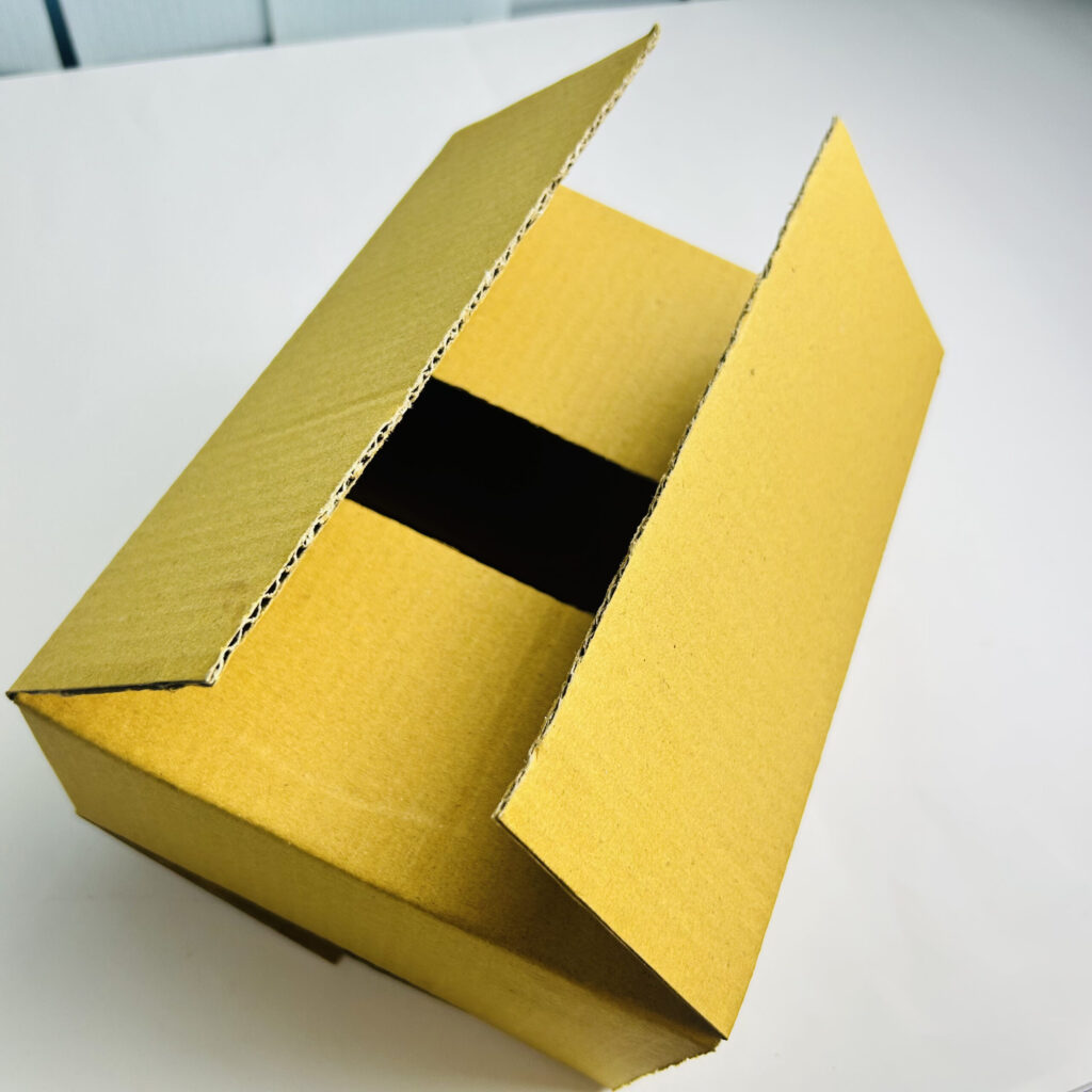 Buy Carton Box at Lowest Price in Bangladesh | Wrapup BD